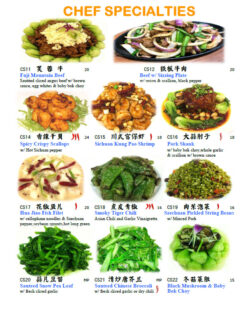 Chef Specials Authentic Chinese Food at Cheng Du 23 Wayne NJ