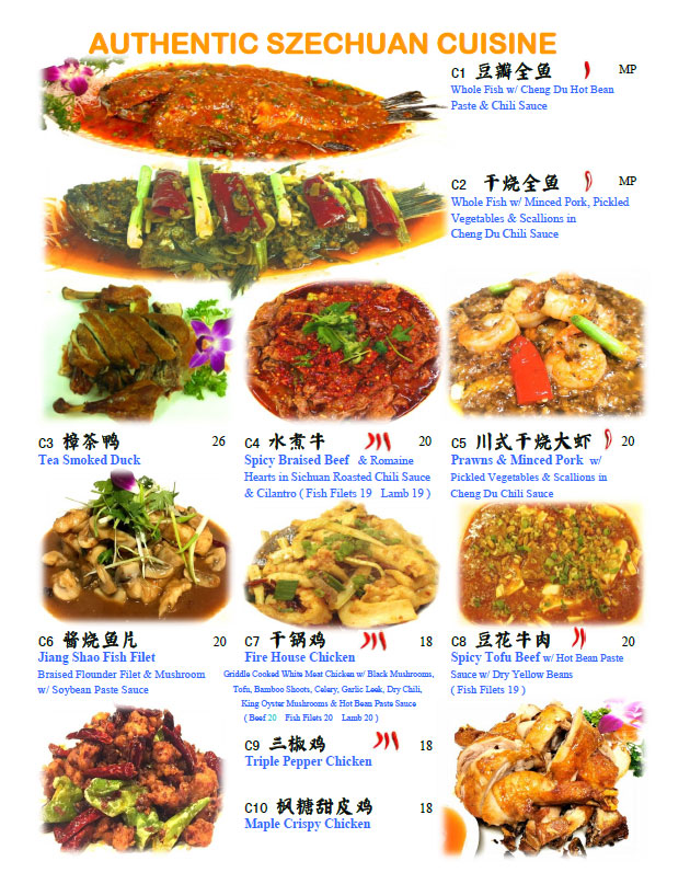 Authentic Chinese Food Menus At ChengDu 23 Wayne NJ By Rt 23 80 46