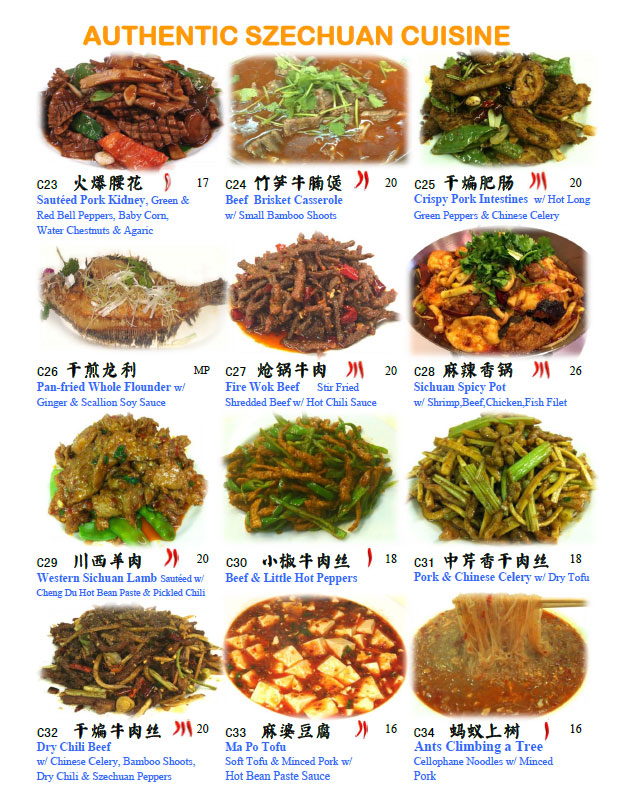 Authentic Chinese Food Menus At ChengDu 23 Wayne NJ By Rt 23 80 46