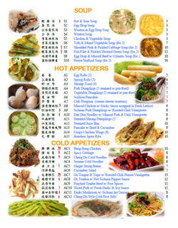 Chengdu 23 Soup Hot and Cold Appetizers - Chengdu 23 Sichuan Restaurant